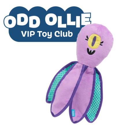 Ollie the Octopus Club