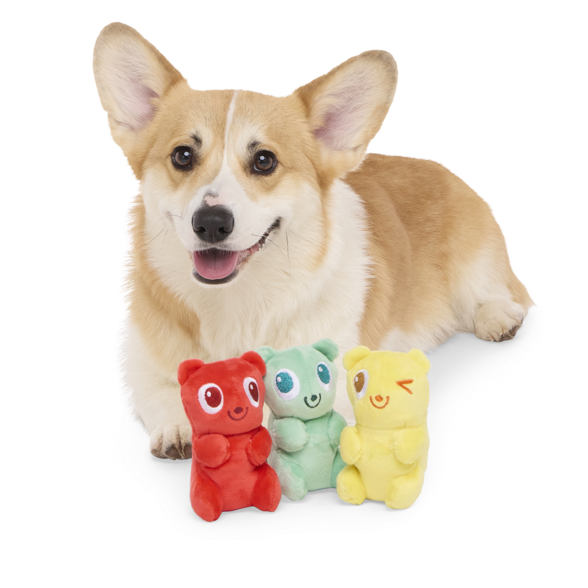 50 Inappropriate Dog Names You Should NEVER Use | BARK Post