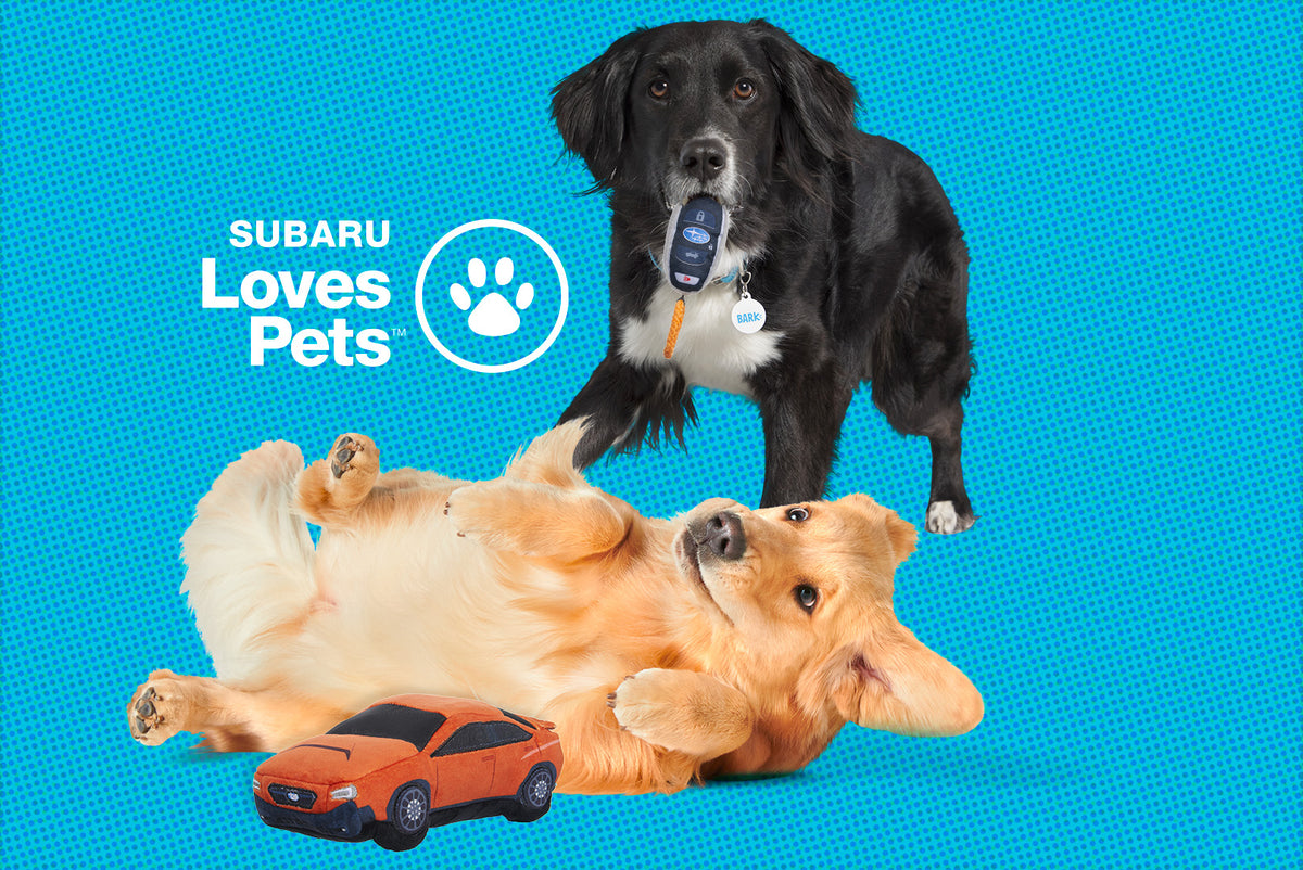 BARK Celebrates Underdogs With Subaru