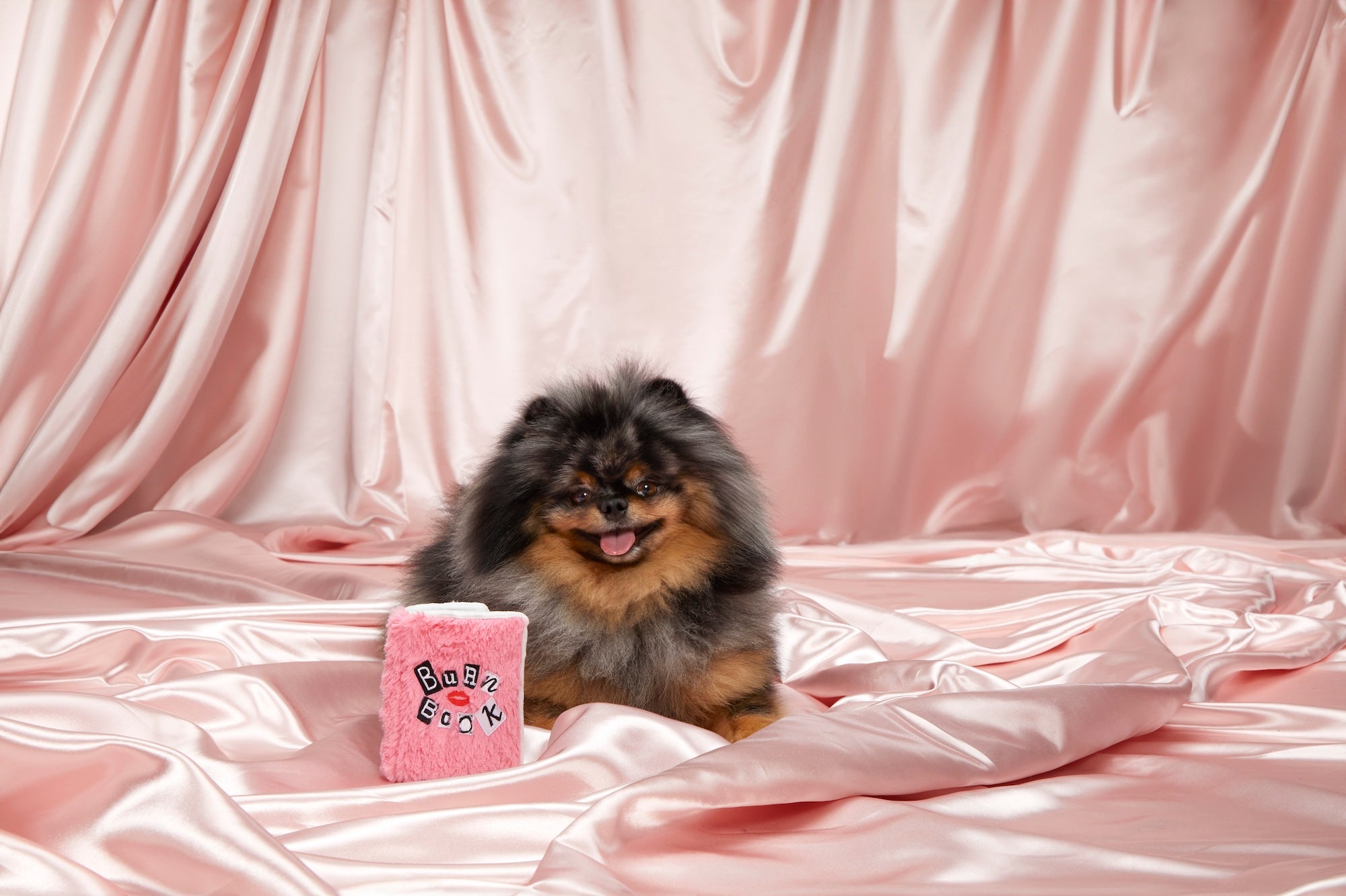 BARK to Launch Limited-Edition Mean Girls Dog Toys