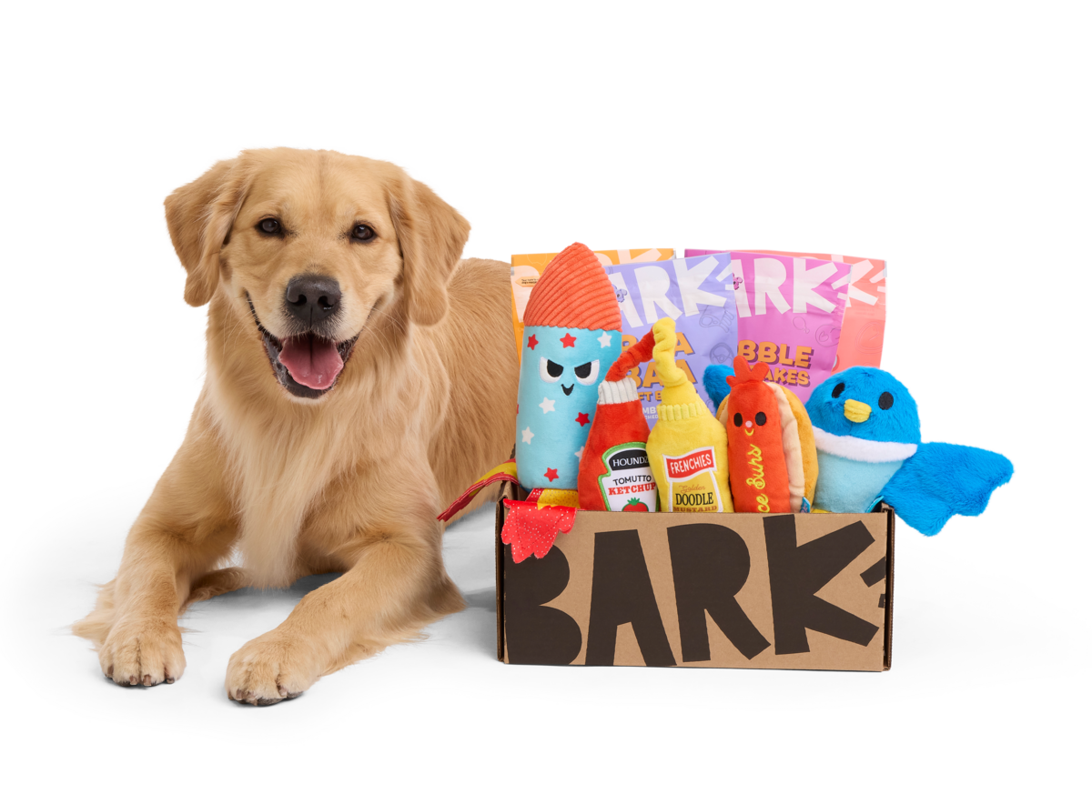 June 2025 BarkBox & Super Chewer Theme Reveal: Backyard BBQ