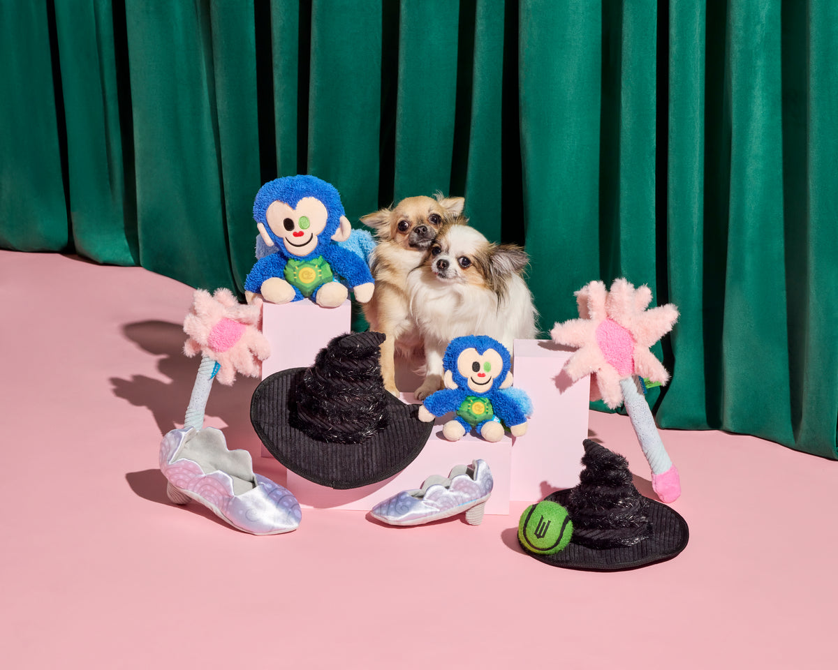BARK Celebrates Wicked: For Good with Limited-Edition Barkbox