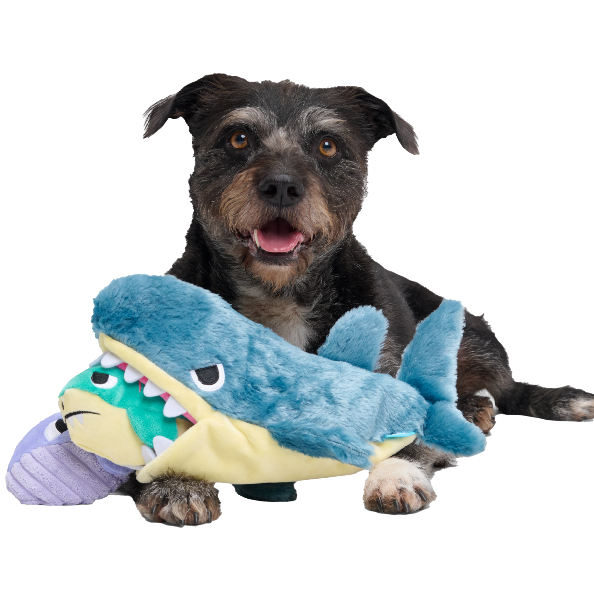 XL Dog Toys – Page 3