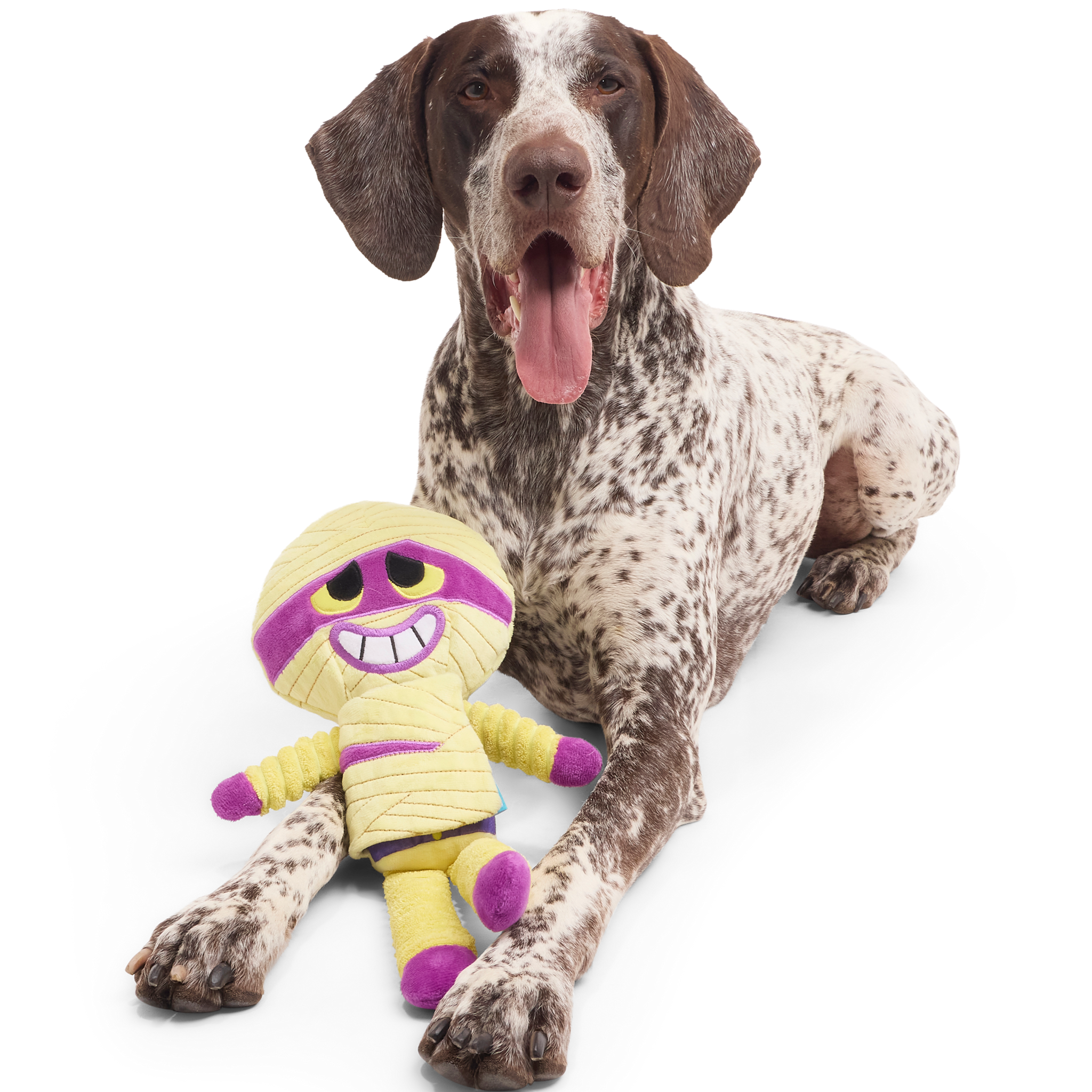 50% OFF HALLOWEEN LAST CHANCE