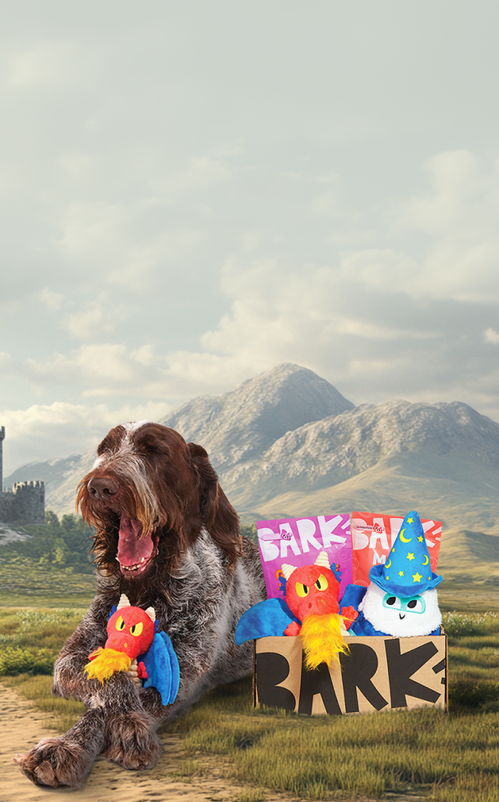 BARK Dog Subscription Box | Dog Toys, Treats, & Fun Delivered