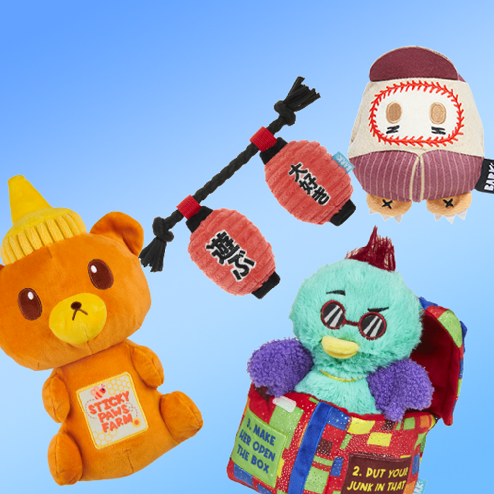 BARK Dog Subscription Box | Dog Toys, Treats, & Fun Delivered