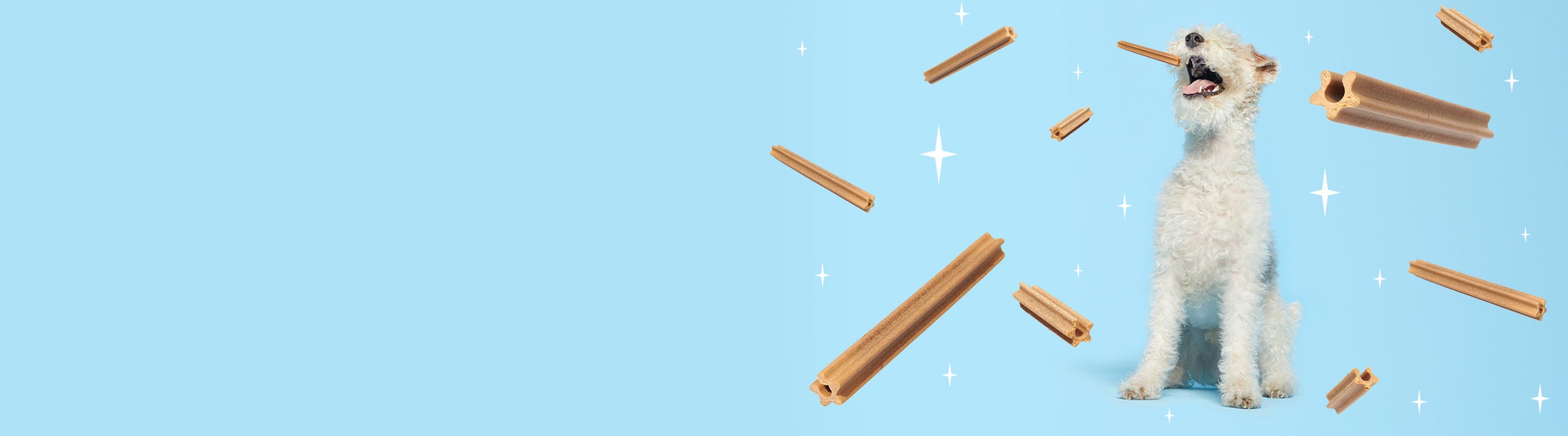 BARK: Shop BarkBox, Food, Toppers, Treats, Dental, Toys and more!