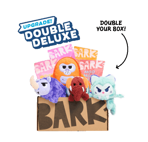 BarkBox Double Deluxe Toys & Treats Upgrade