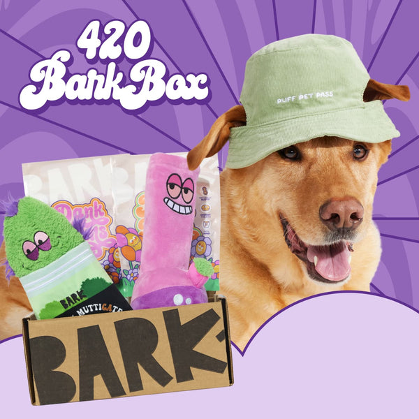 BARK Dog Subscription Box | Dog Toys, Treats, & Fun Delivered