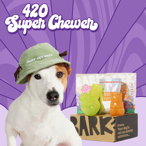 BARK Dog Subscription Box | Dog Toys, Treats, & Fun Delivered