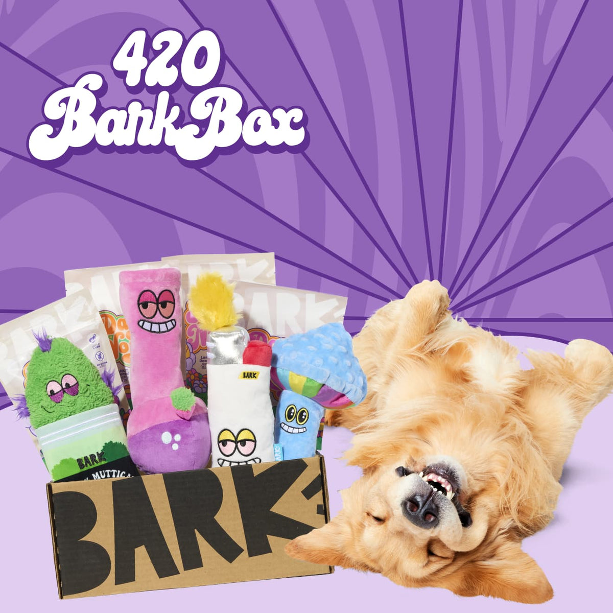 BARK Dog Subscription Box | Dog Toys, Treats, & Fun Delivered