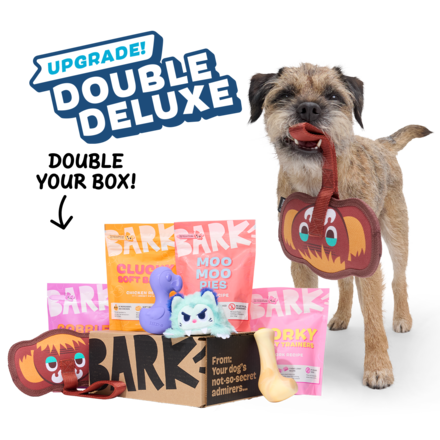 BarkBox Double Deluxe Toys & Treats Upgrade