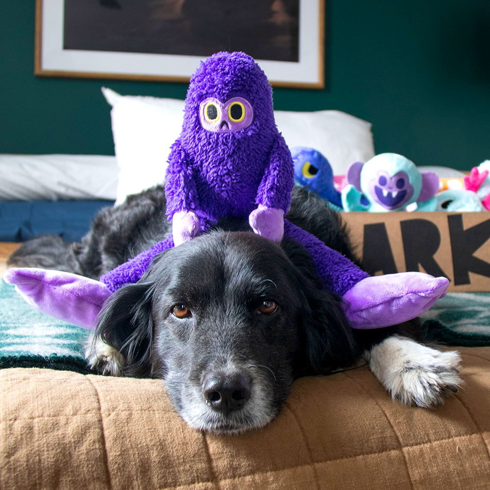 BarkBox 6 Month Subscription - Double Deluxe First Box