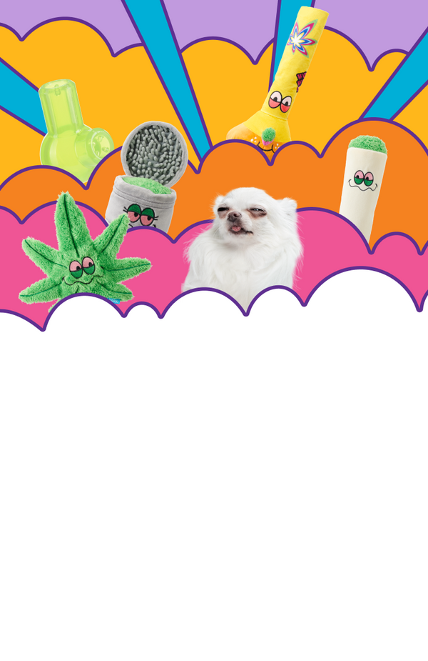 BARK Dog Subscription Box | Dog Toys, Treats, & Fun Delivered