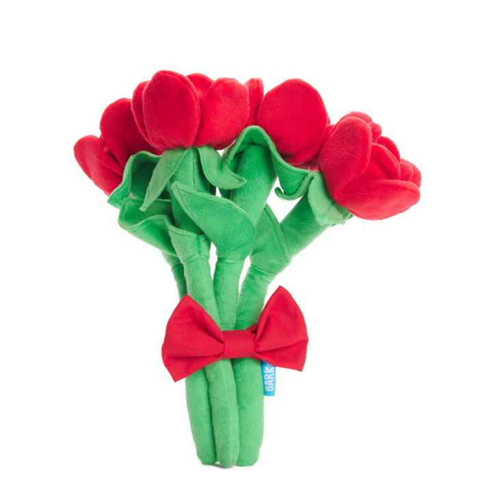 Bouquet of Roses Plush Multi-Part + Tug Dog Toy – BARK