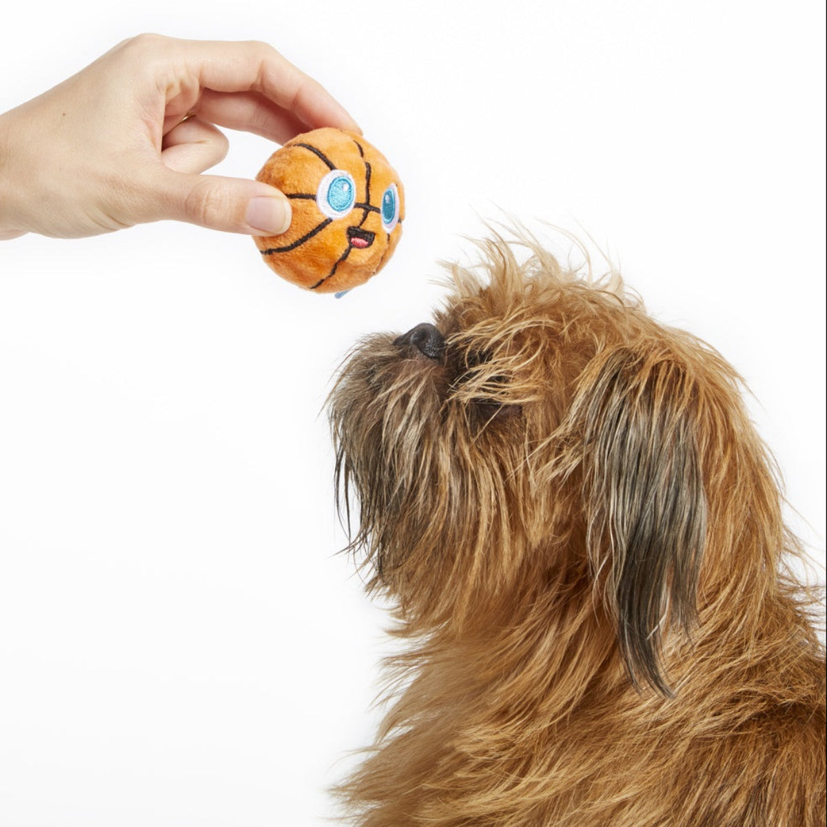 Drool & Dribble Basketball Plush Fetch Dog Toy – BARK