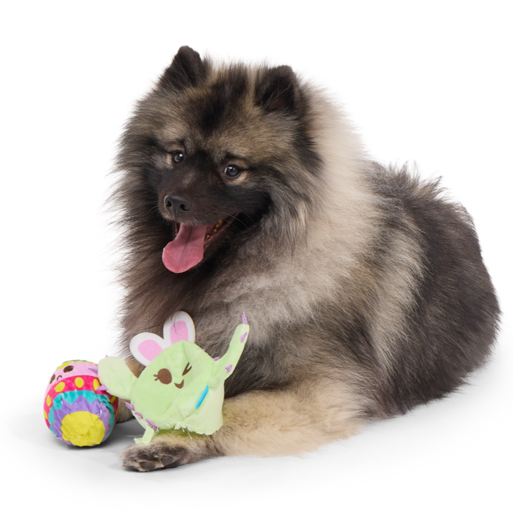 Consuela the Hoppy Cactus Plush 2-in-1 Rip and Reveal + Tug Dog Toy – BARK