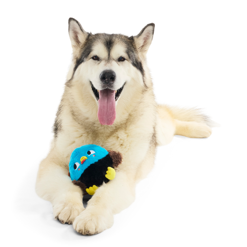 The Pecking Order Plush Multi-Part Dog Toy – BARK