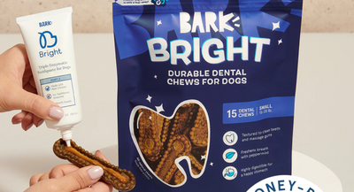 BARK Bright Natural Dental Chew Sticks for Dogs | BARK