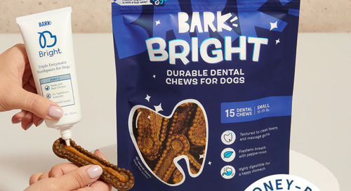 BARK Bright Natural Dental Chew Sticks for Dogs | BARK