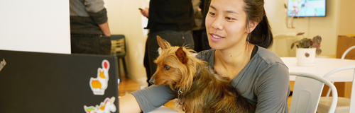 Careers & Open Roles at Bark