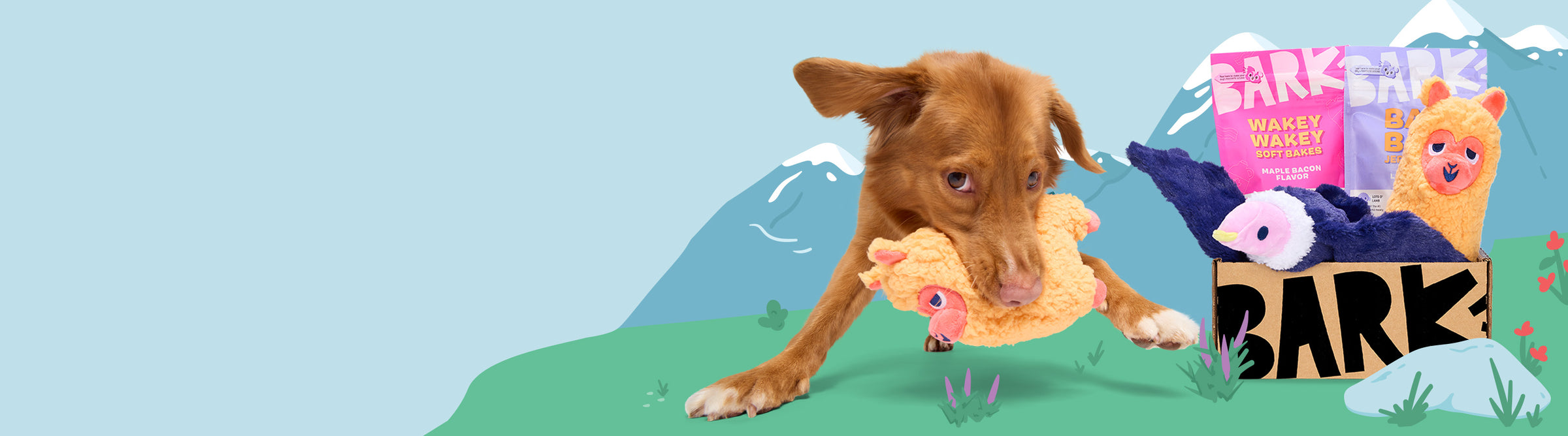 BARK: Shop BarkBox, Food, Toppers, Treats, Dental, Toys and more!