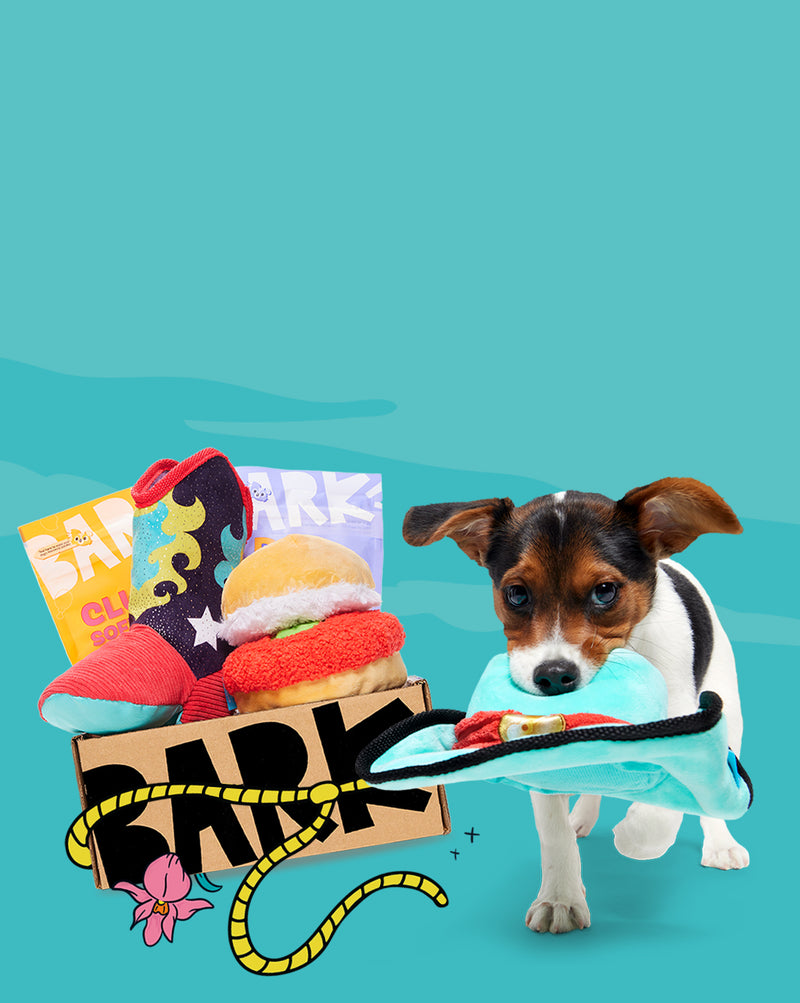 BARK: Shop BarkBox, Food, Toppers, Treats, Dental, Toys and more!