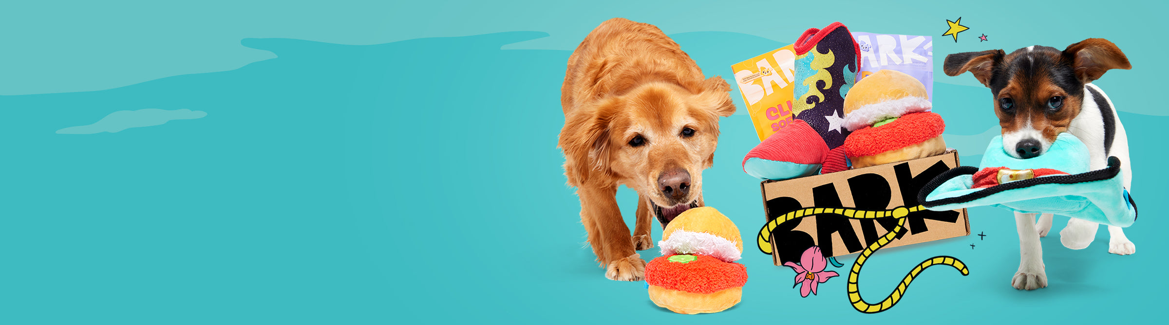 BARK: Shop BarkBox, Food, Toppers, Treats, Dental, Toys and more!