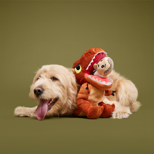 T. Rex Plush Multi-Part + Extra-Large Dog Toy – BARK