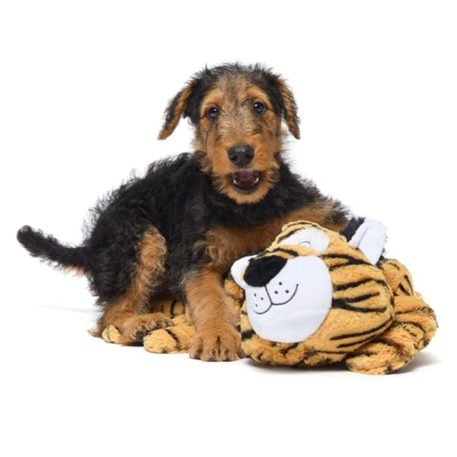 Benji the Bouncing Tiger