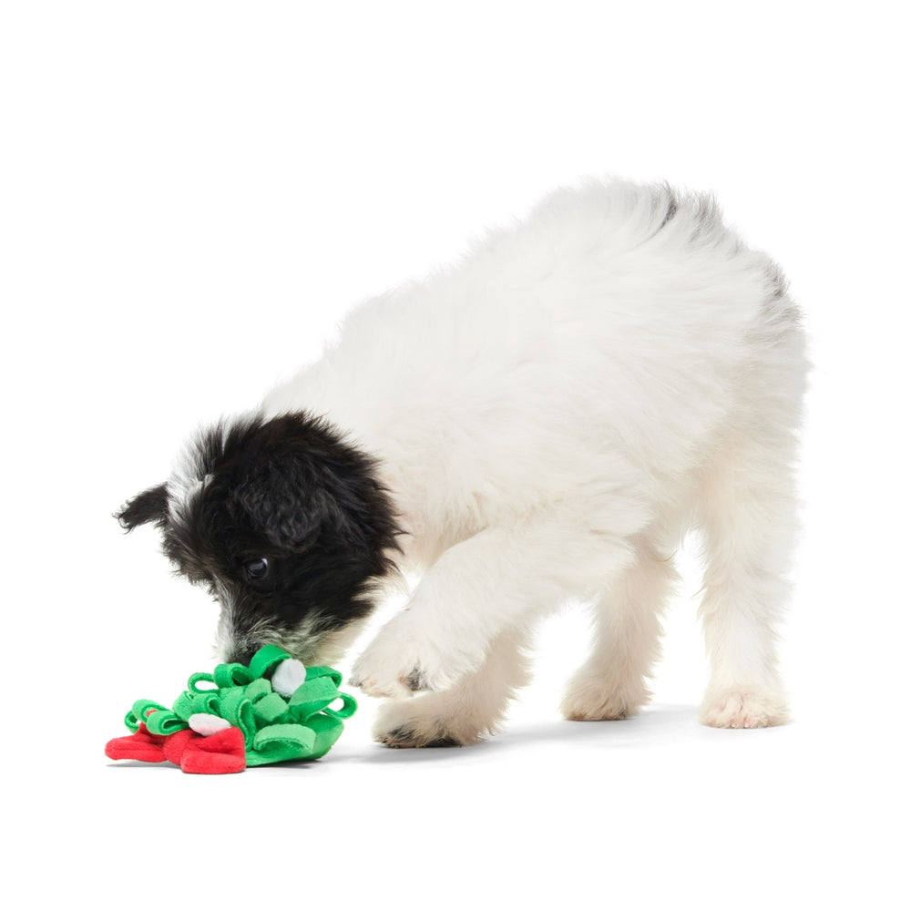 Sniffletoe Tug and Rope Plush Enrichment Dog Toy – BARK
