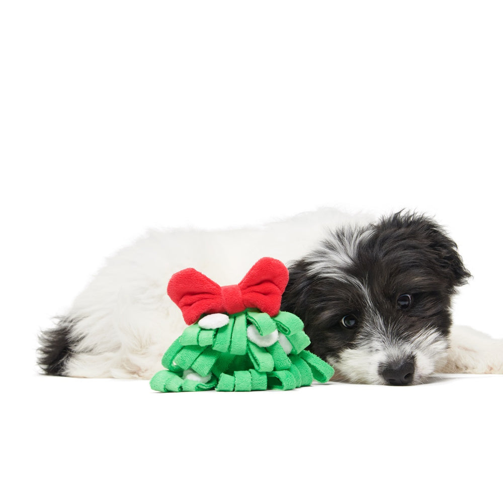 Sniffletoe Tug and Rope Plush Enrichment Dog Toy – BARK