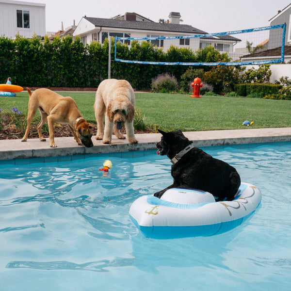 Funboy x BARK Dog Yacht Pool Float