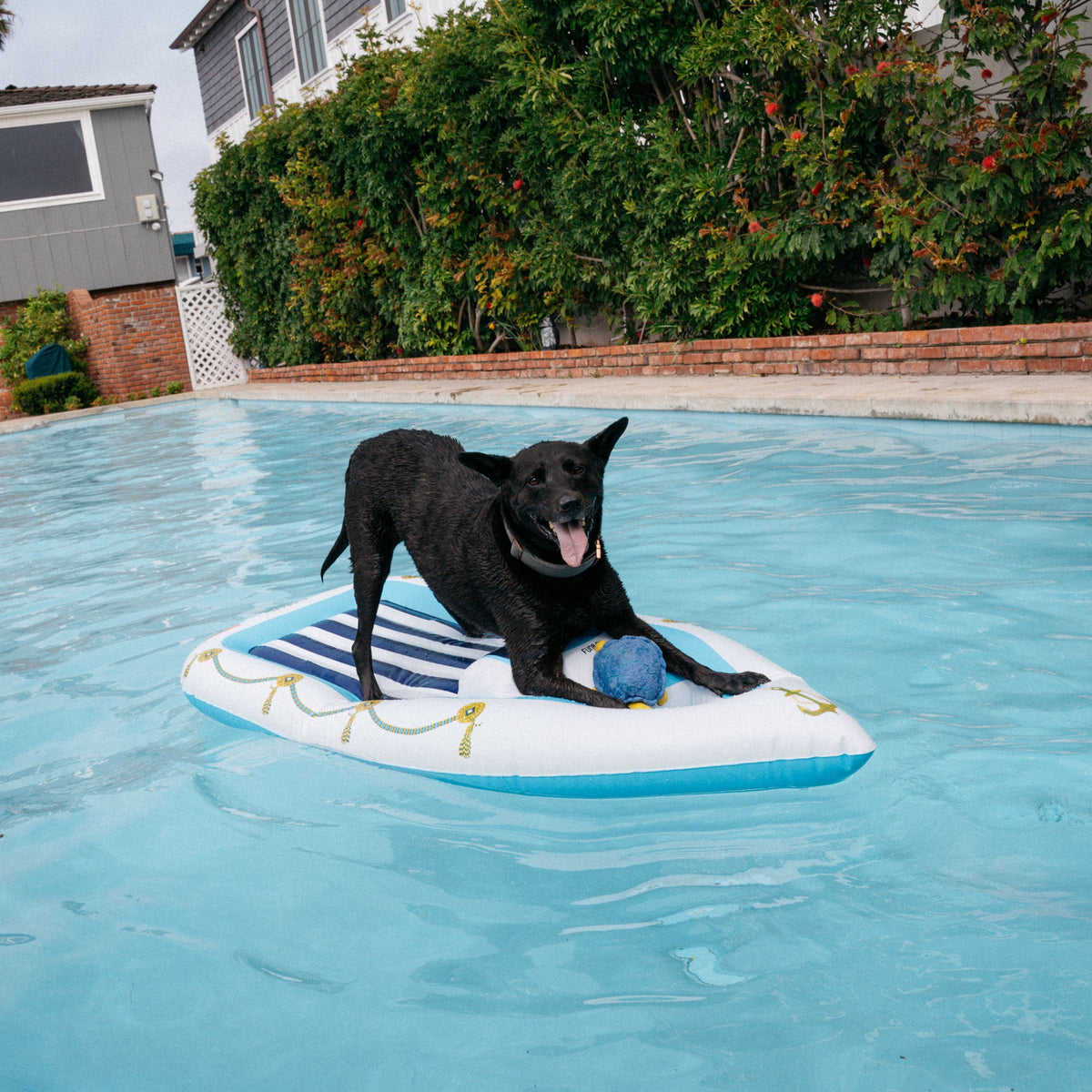 Funboy x BARK Dog Yacht Pool Float