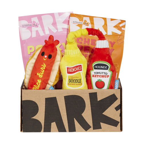 BarkBox - One Month Gift Box – BARK