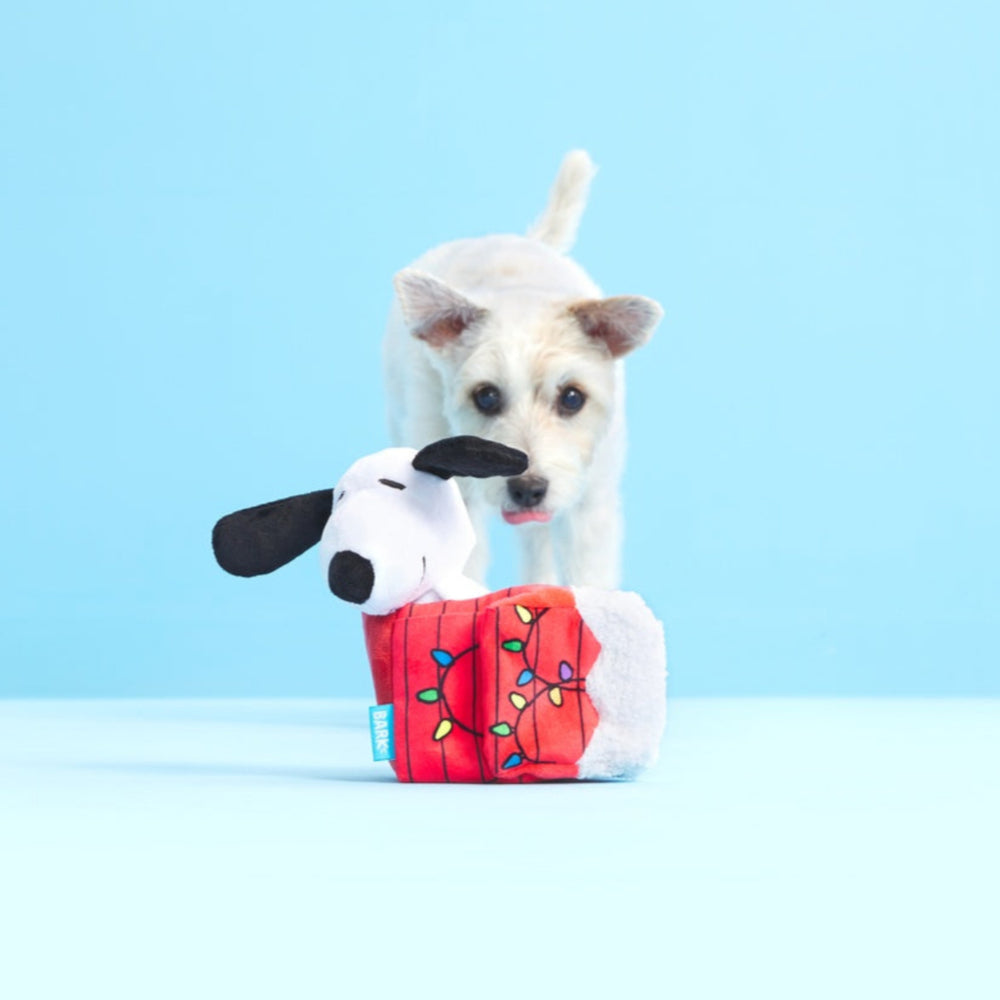 Doghouse Snoopy Plush Multi-Part Dog Toy – BARK
