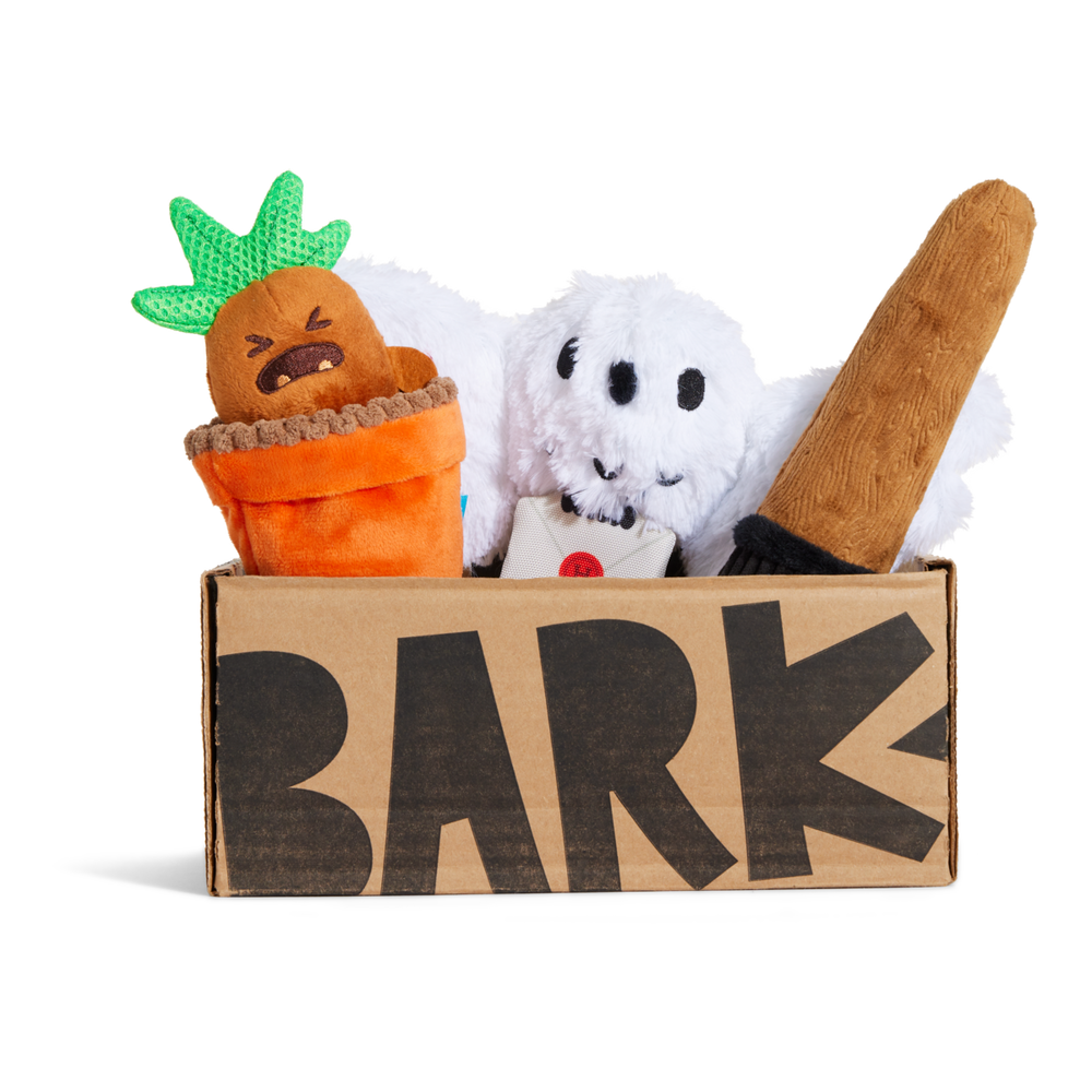 HARRY POTTER™ BarkBox - One Month Gift Box – BARK