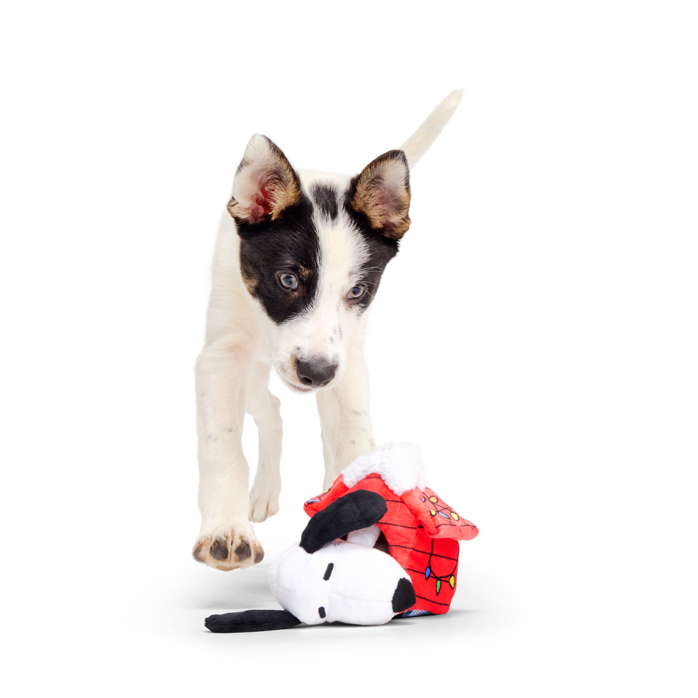 Doghouse Snoopy Plush Multi-Part Dog Toy – BARK