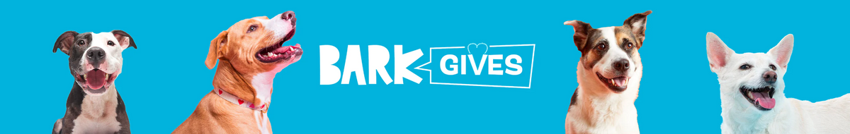 About Bark: Bringing Joy to Dogs & Their Humans – BARK