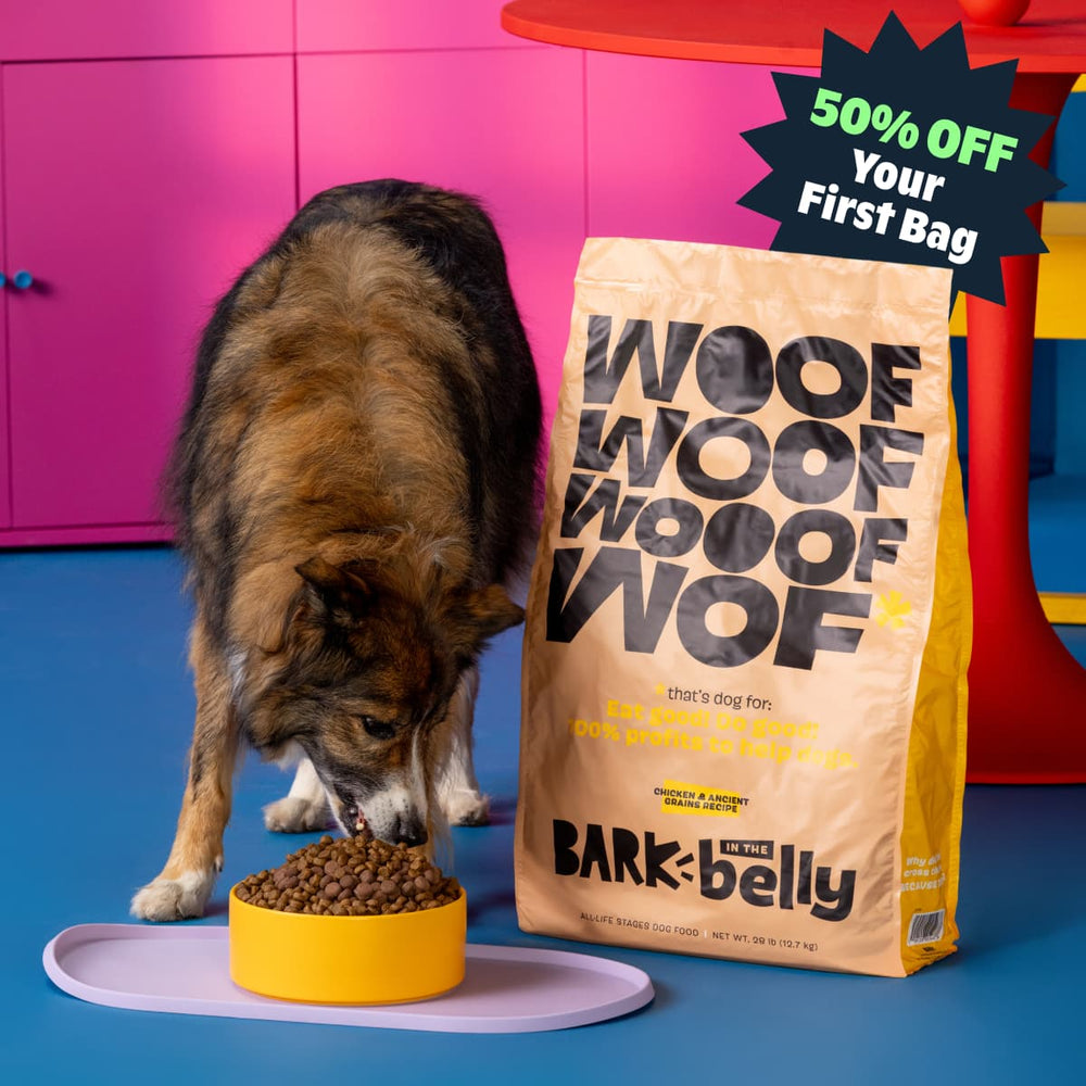Bark In The Belly Chicken & Ancient Grains Dog Food | 100% Profits ...