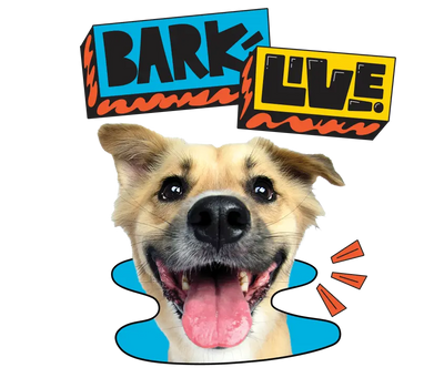 BARK Dog Subscription Box | Dog Toys, Treats, & Fun Delivered
