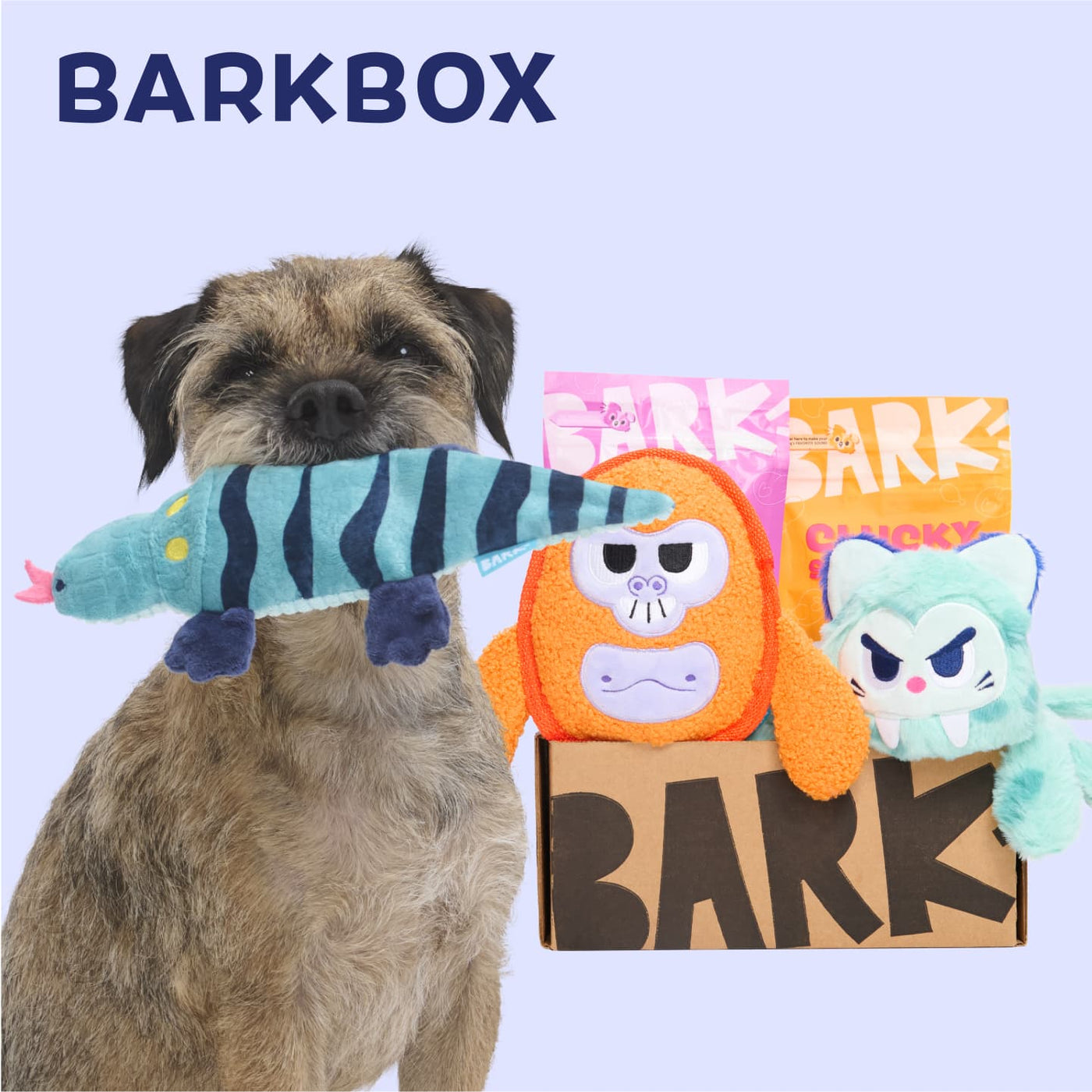 BARK: Shop BarkBox, Food, Toppers, Treats, Dental, Toys and more!