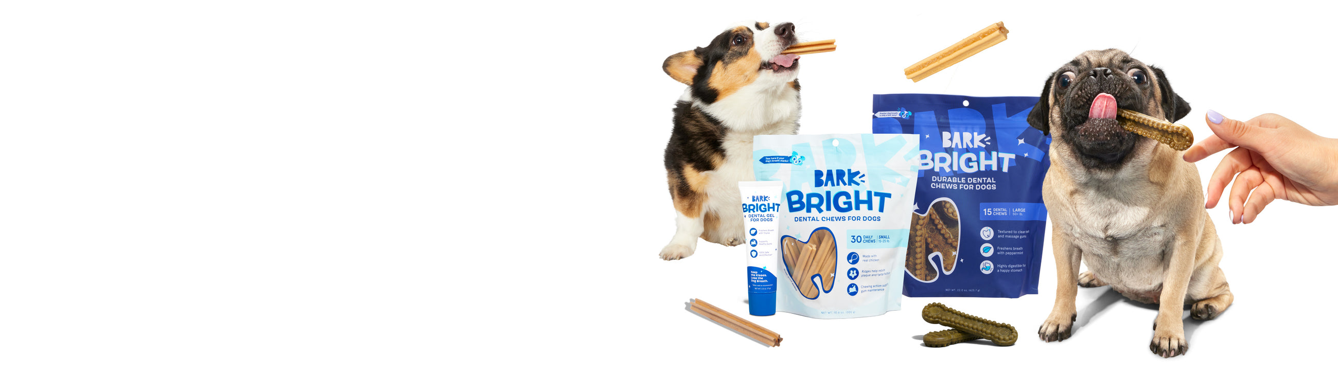 BARK Bright Dog Dental Care: Kits, Chews & Toothpaste | BARK