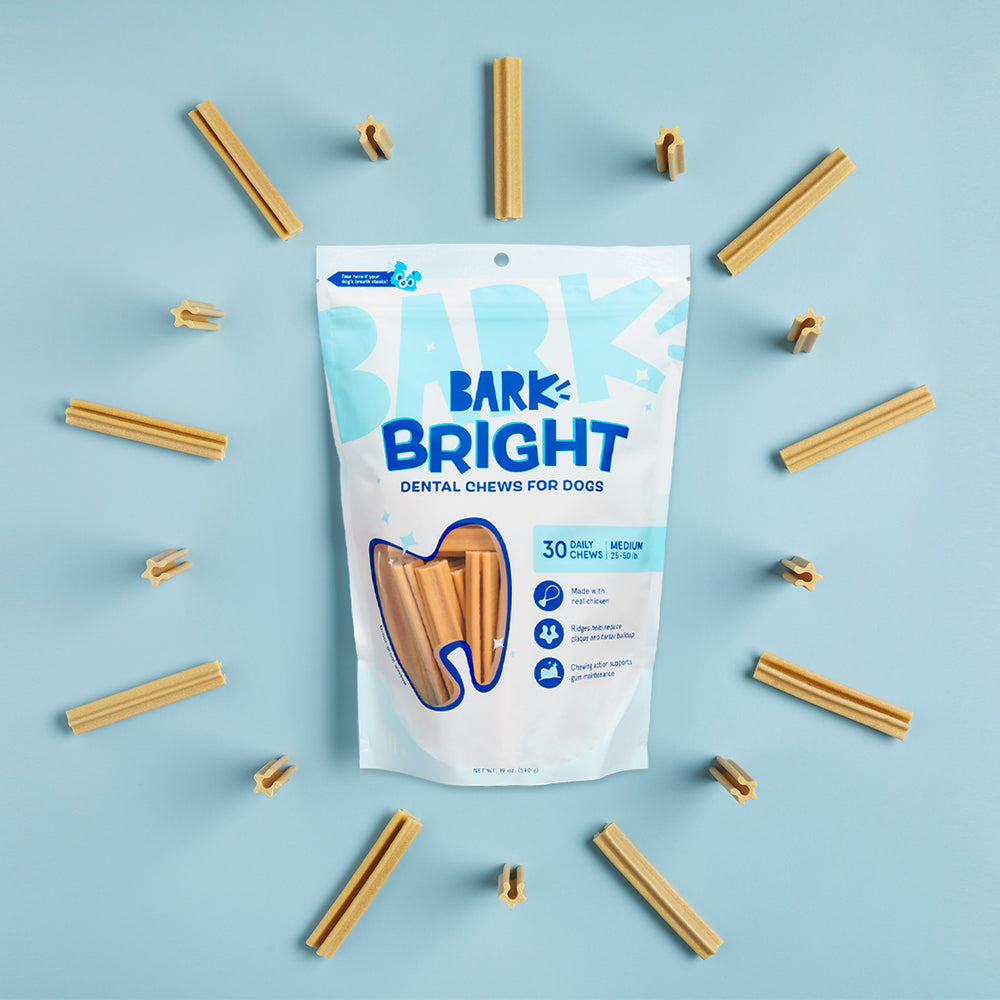 BARK Bright Natural Dental Chew Sticks for Dogs | BARK