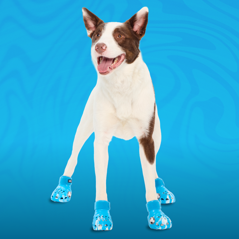 Crocs™ Shoes For Dogs | Dog Crocs by BARK