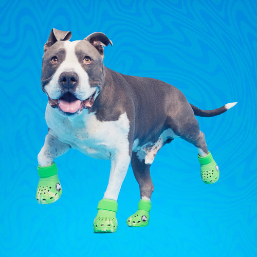 Crocs™ For Dogs