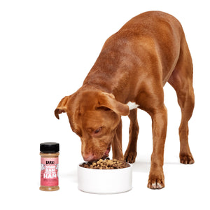 Wham Bam Thank You Ham Pork Dog Food Meal Topper, 4.6 oz – BARK