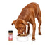 Wham Bam Thank You Ham Pork Dog Food Meal Topper, 4.6 oz – BARK