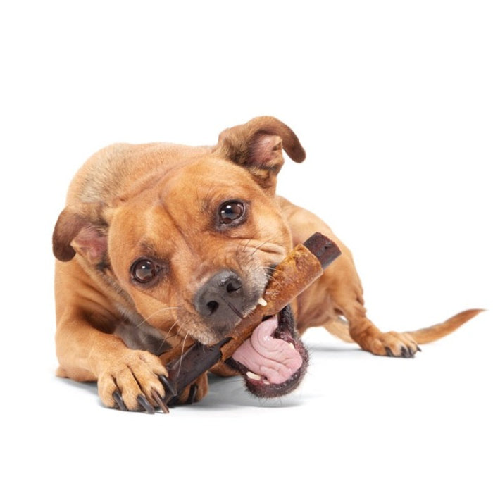 Beefy Chewin' Collagen Chew & Bully Stick – BARK