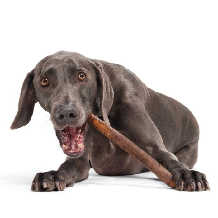 Beefy Chewin' Collagen Chew & Bully Stick – BARK